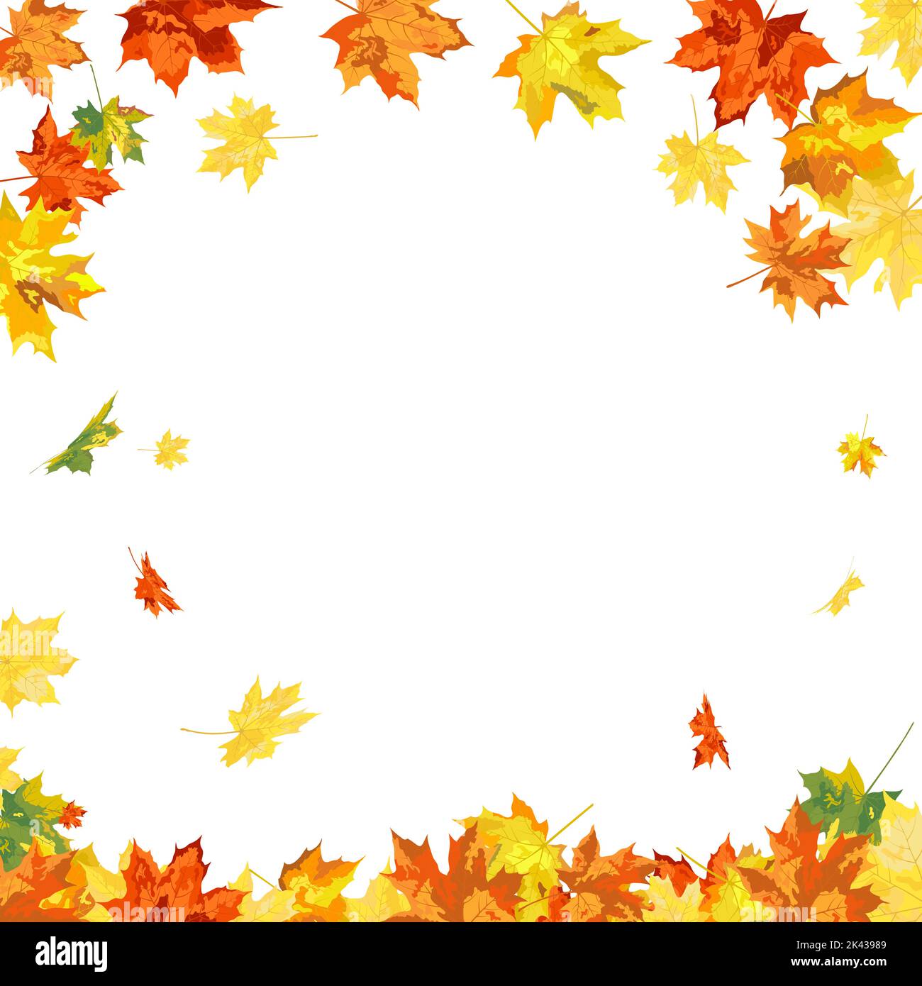 Autumn Frame With Blowing Maple Leaves Over White Background. Elegant ...