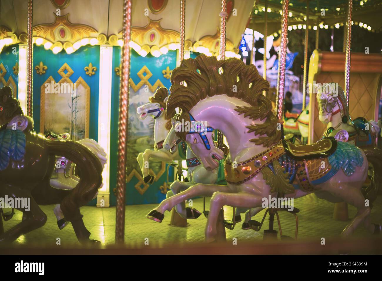 Izmir, Turkey - September 11, 2022: Close up shot of a horse of the ...