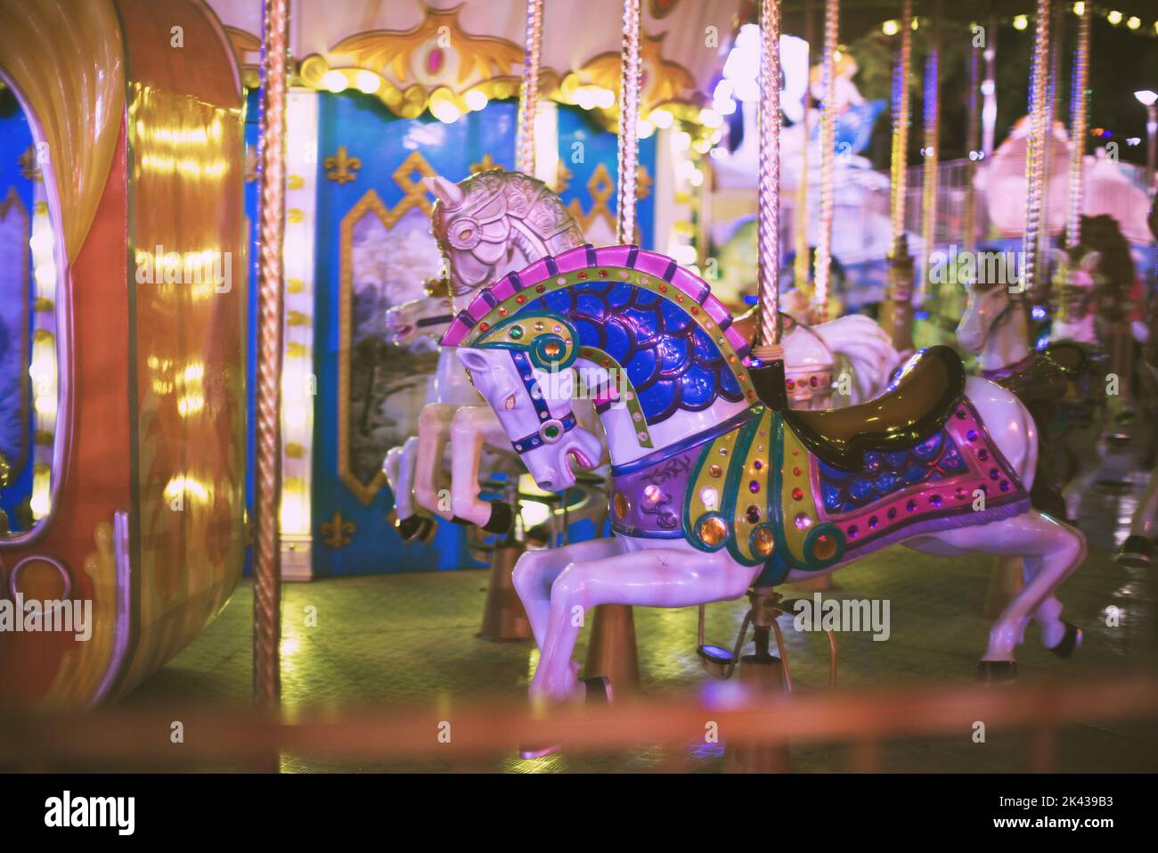 Izmir, Turkey - September 11, 2022: Close up shot of a horse of the ...