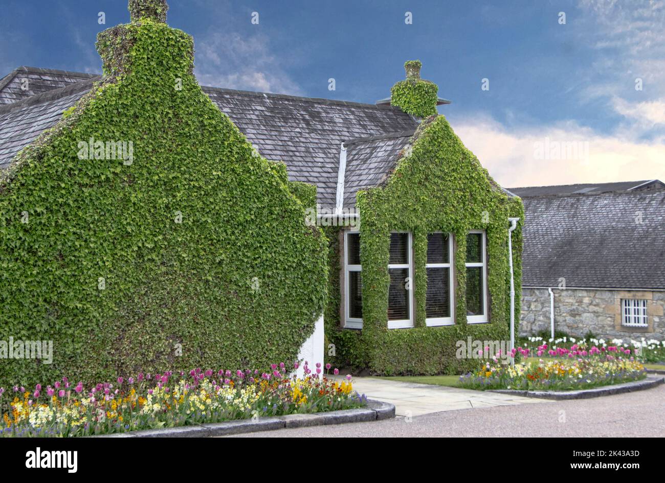 Building made of old stone with ivy growing on the outsideand beautiful ...