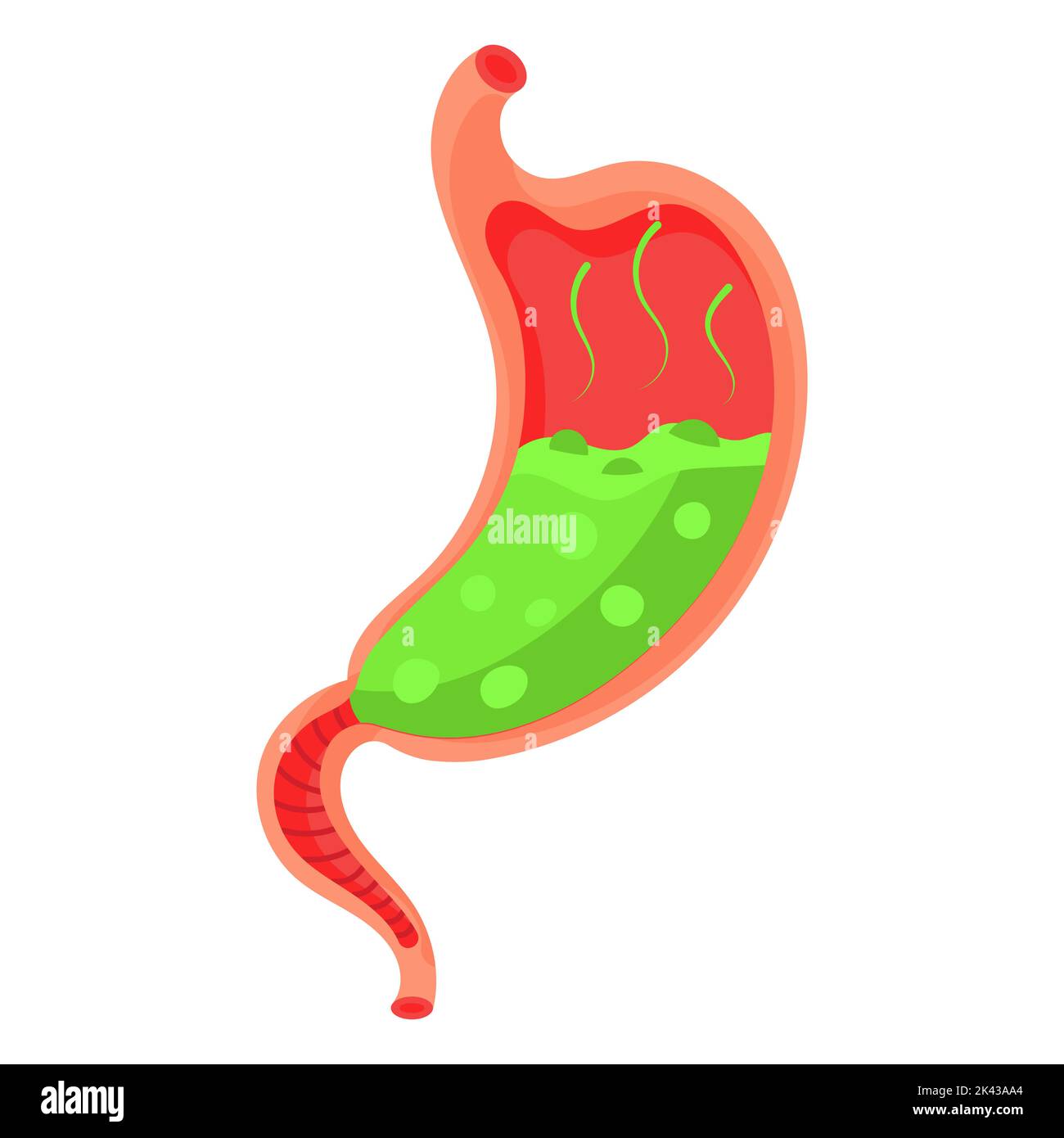 Full stomach. Heaviness of stomach, bloating, pain in the alimentary ...