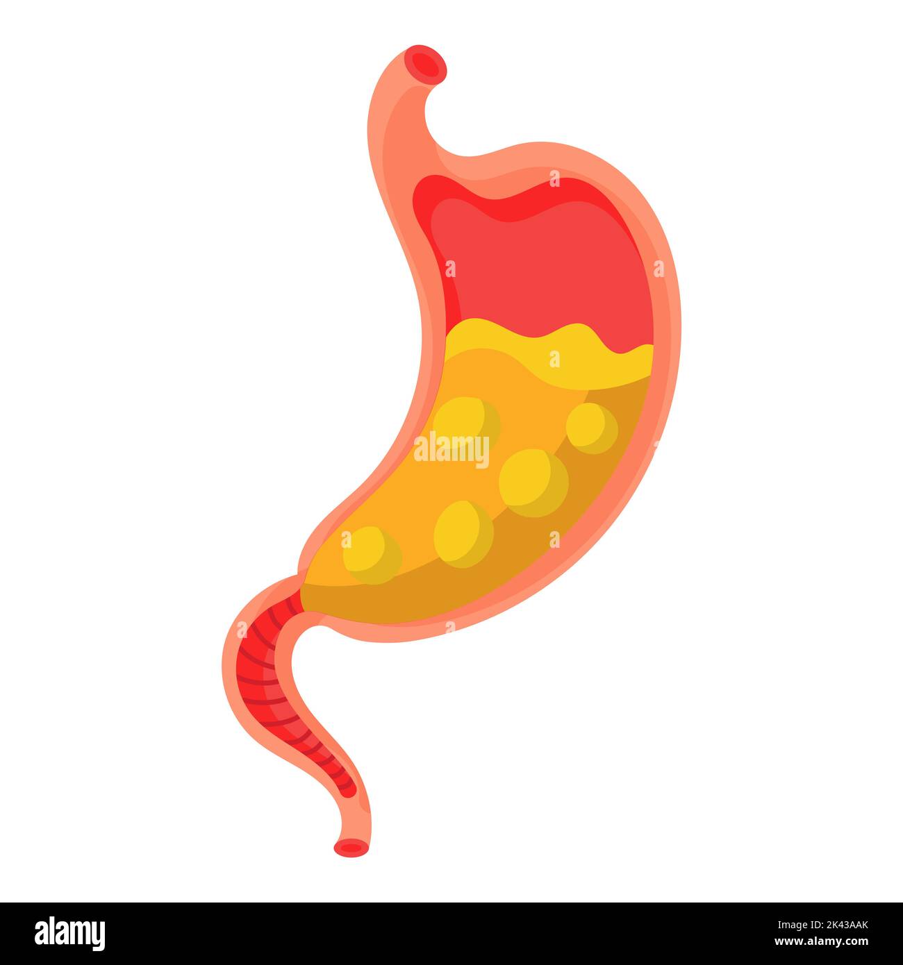 Full stomach. Heaviness of stomach, bloating, pain in the alimentary ...