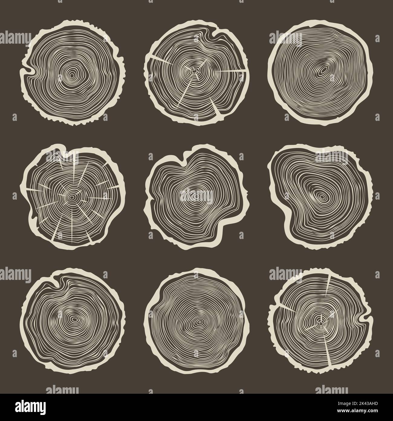 Round tree trunk cuts with cracks, sawn pine or oak slices, lumber. Saw ...