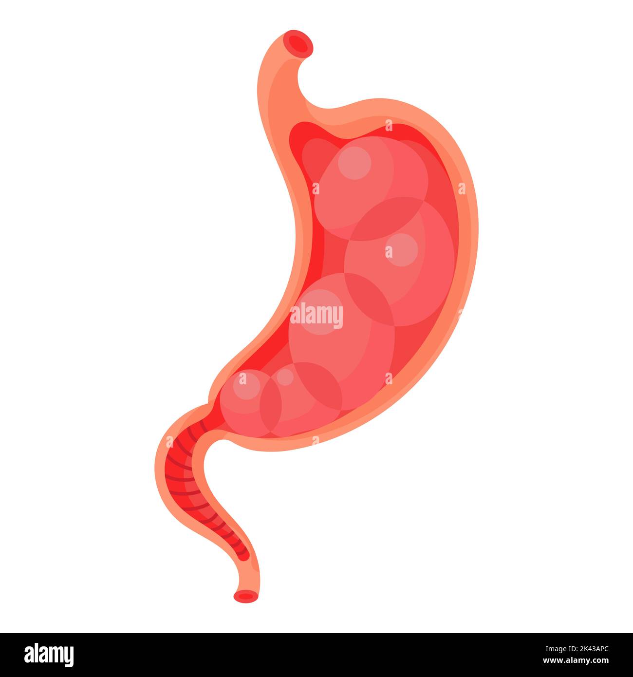 Full stomach. Heaviness of stomach, bloating, pain in the alimentary ...
