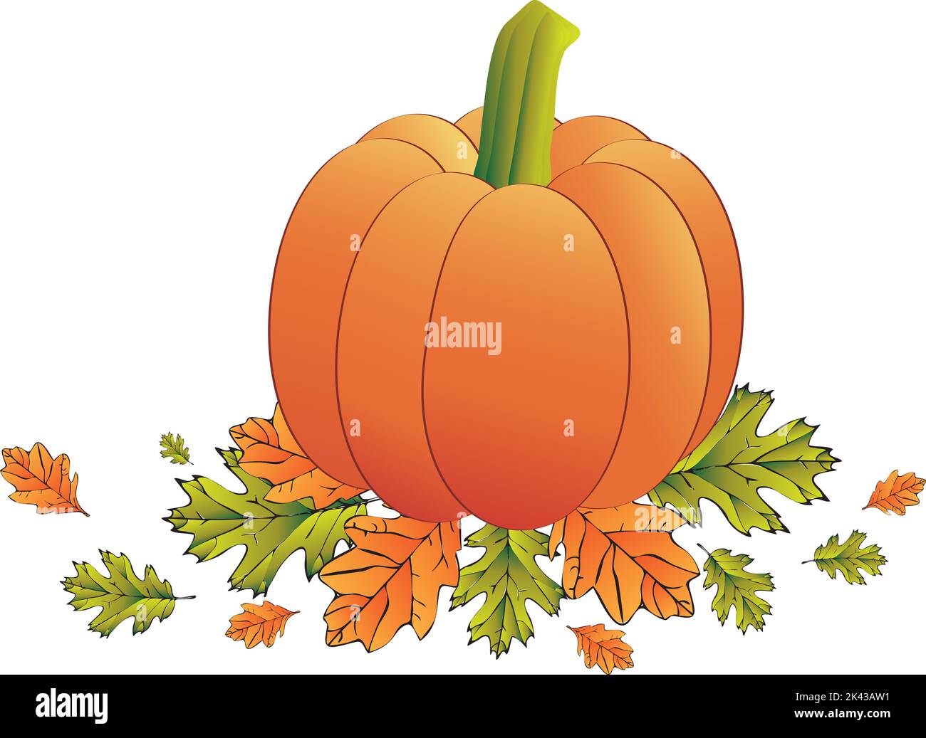 Pumpkin autumn leaves clip hi-res stock photography and images - Alamy