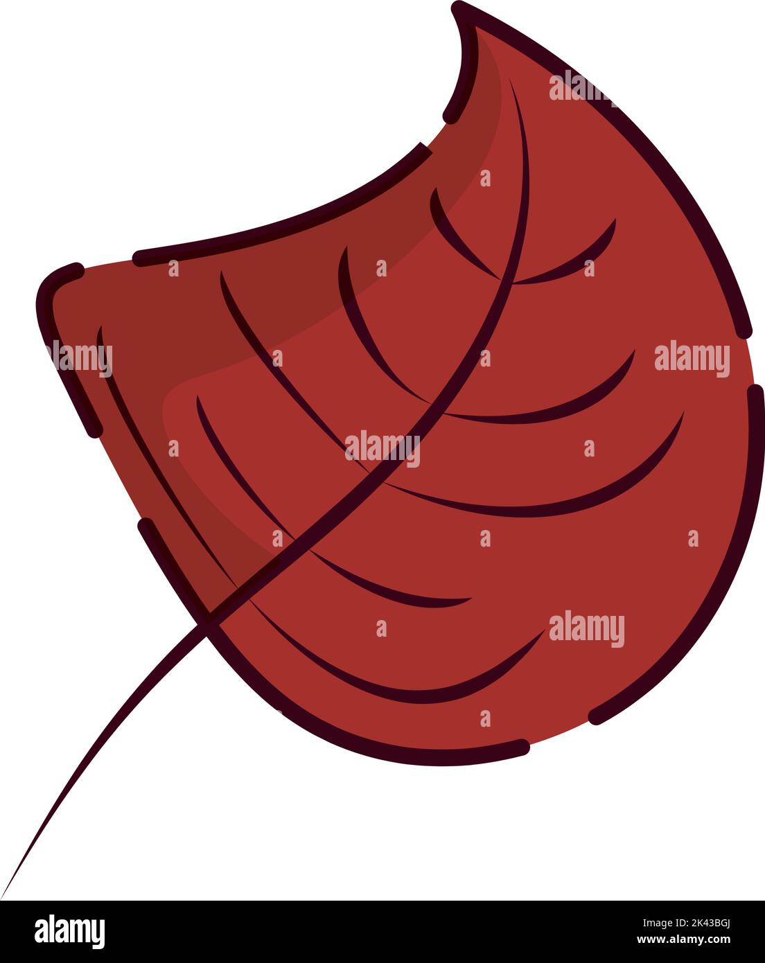 Isolated colored autumn leaf icon Vector Stock Vector Image & Art - Alamy