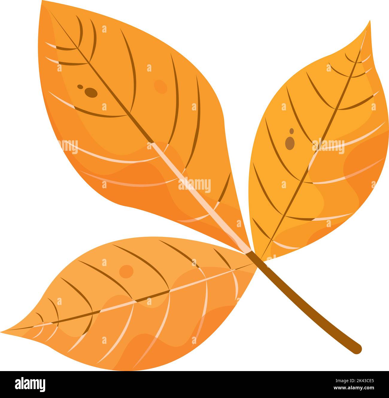 Isolated colored autumn leaf icon Vector Stock Vector Image & Art - Alamy