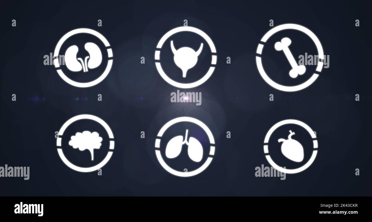 Image of human body icons over grey background with lights. Science ...