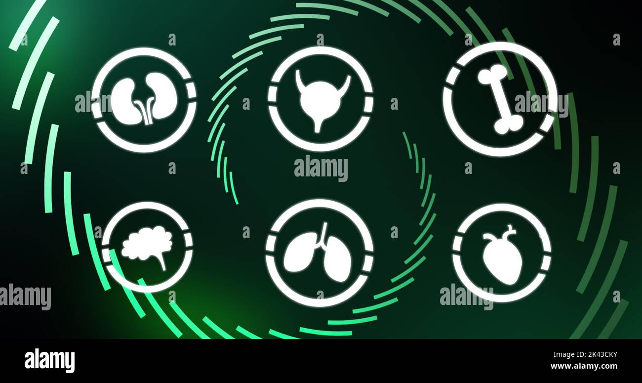 Image of human body icons over green background with lines. Science ...