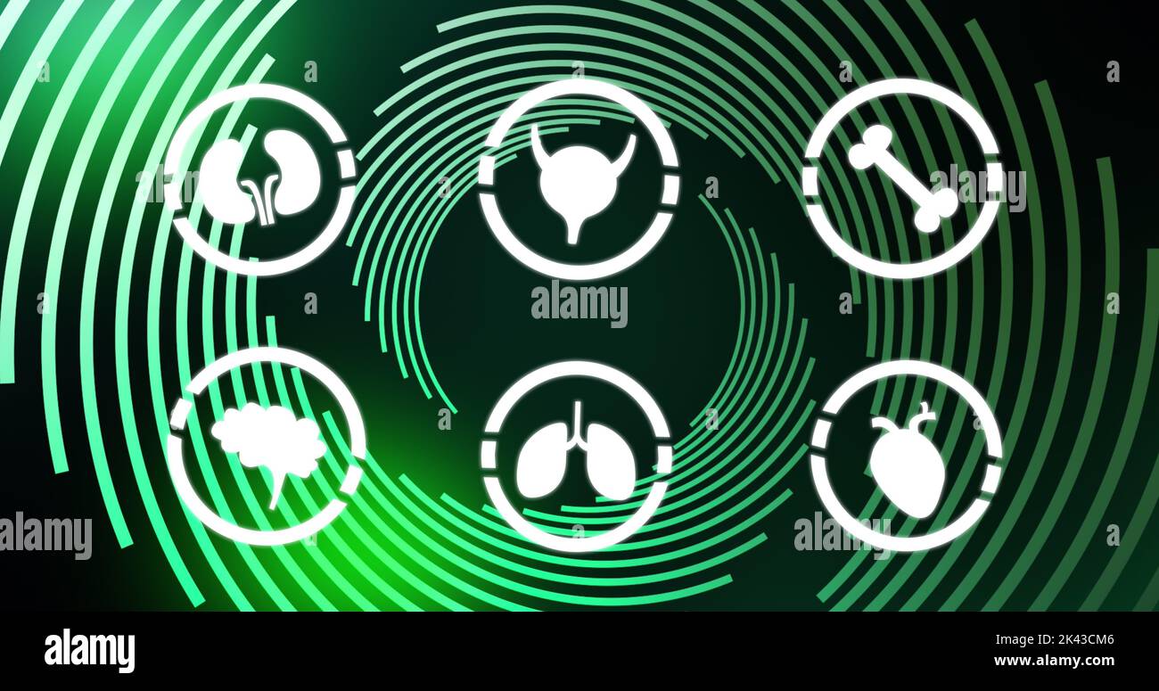 Image of human body icons over green background with lines. Science ...