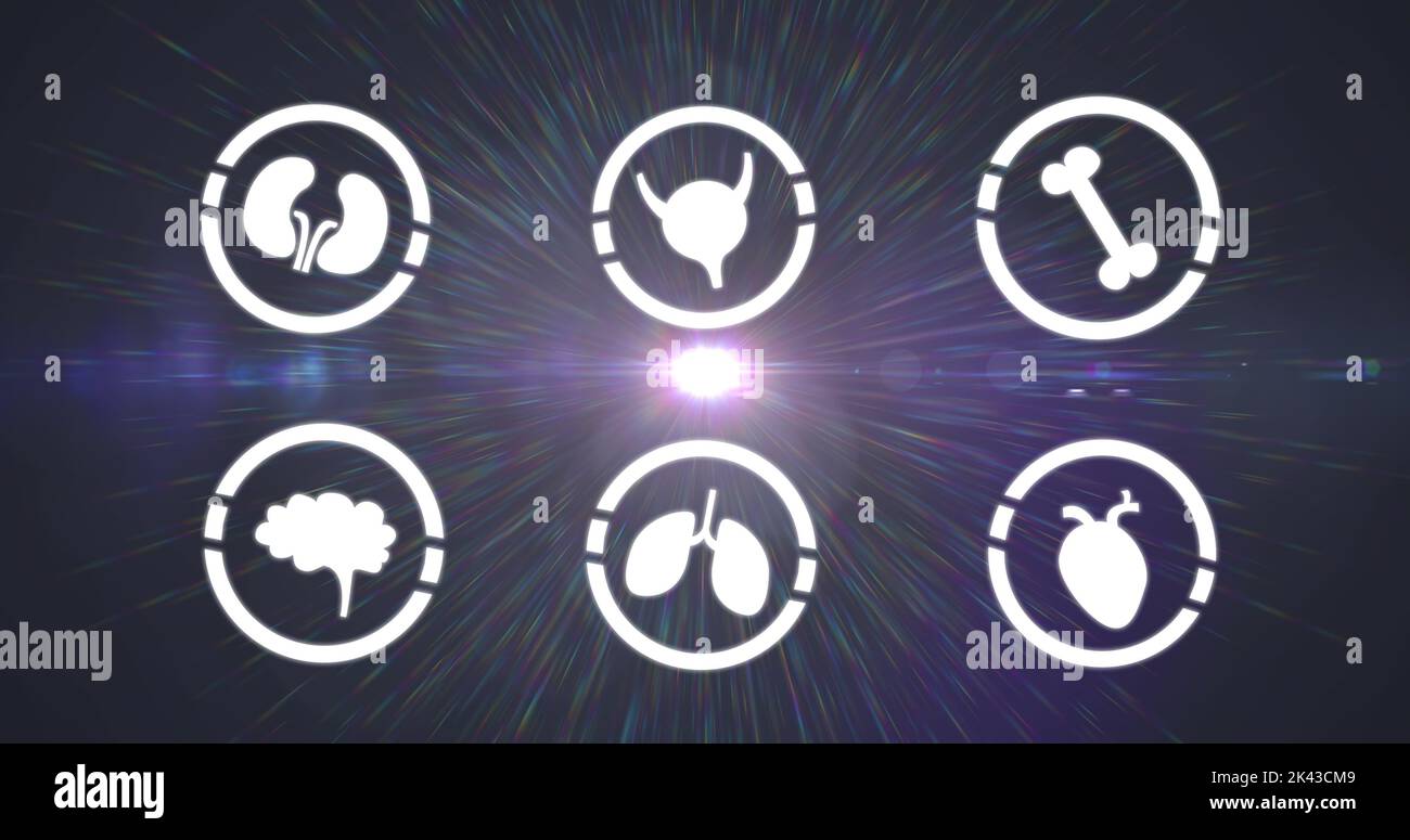 Image of human body icons over grey background with lights. Science ...