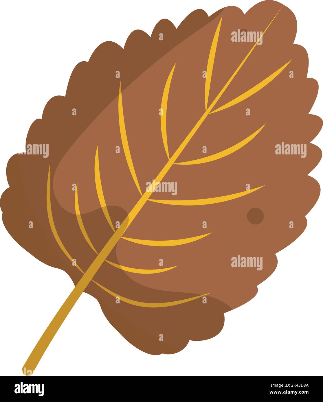 Isolated colored autumn leaf icon Vector Stock Vector Image & Art - Alamy