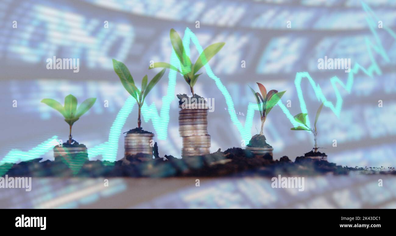 Plants database hi-res stock photography and images - Alamy