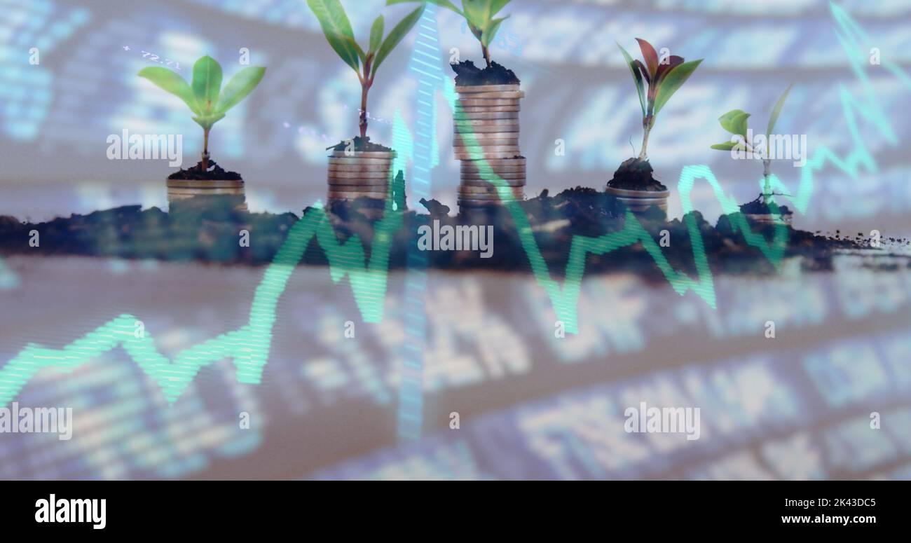 Plants database hi-res stock photography and images - Alamy
