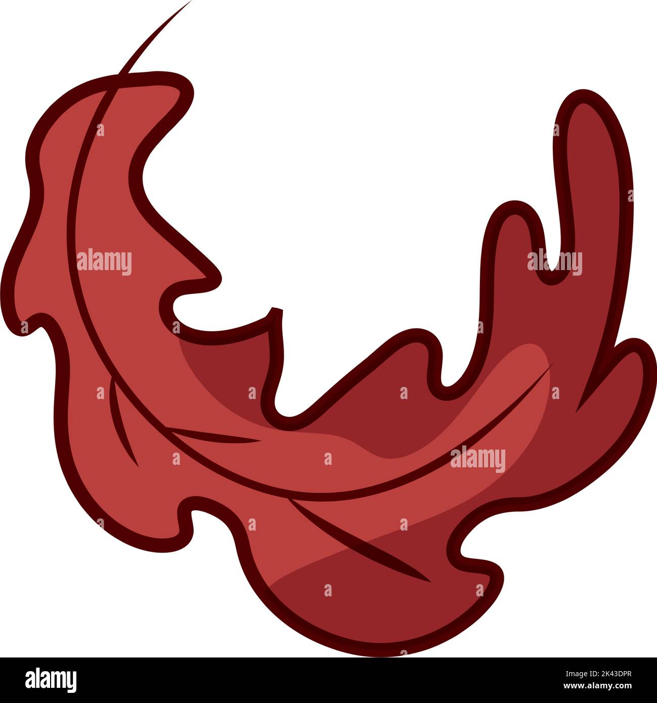 Isolated colored autumn leaf icon Vector Stock Vector Image & Art - Alamy