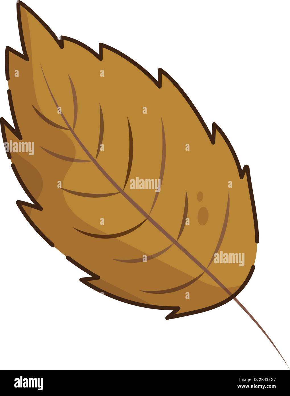 Isolated colored autumn leaf icon Vector Stock Vector Image & Art - Alamy