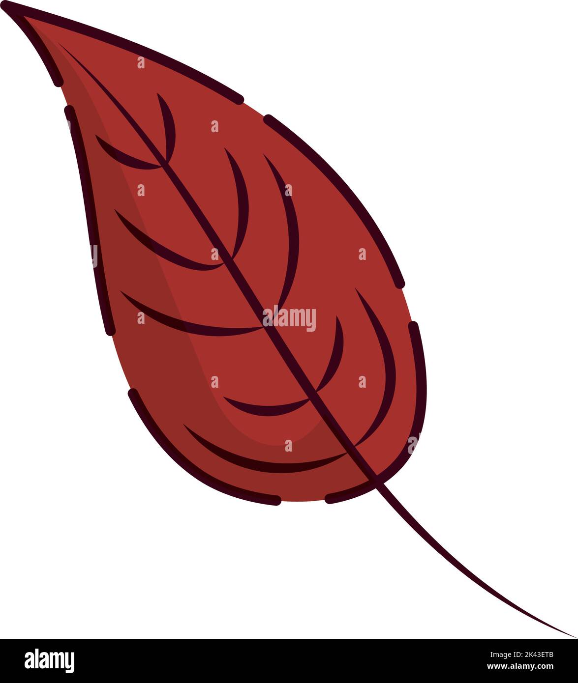 Isolated colored autumn leaf icon Vector Stock Vector Image & Art - Alamy