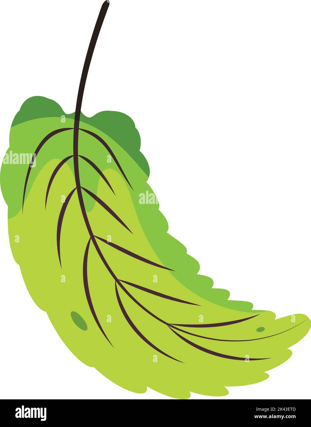 Isolated colored autumn leaf icon Vector Stock Vector Image & Art - Alamy