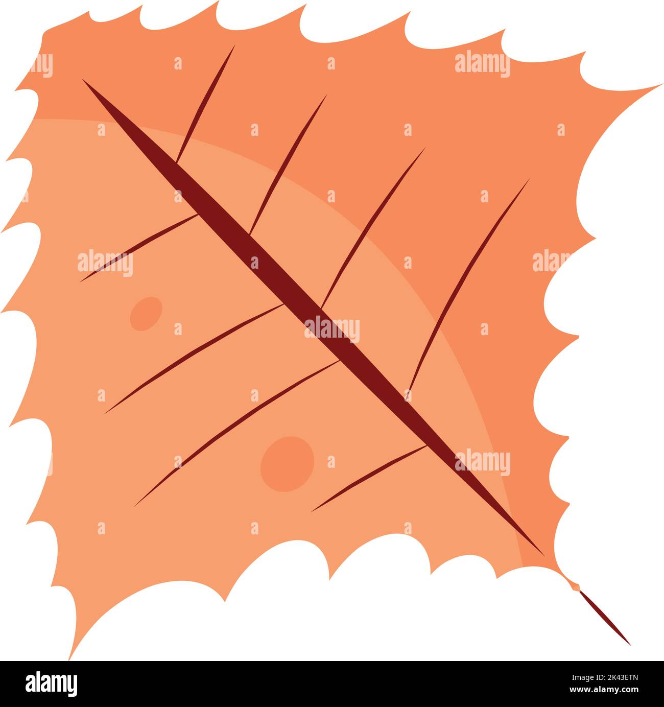 Isolated colored autumn leaf icon Vector Stock Vector Image & Art - Alamy