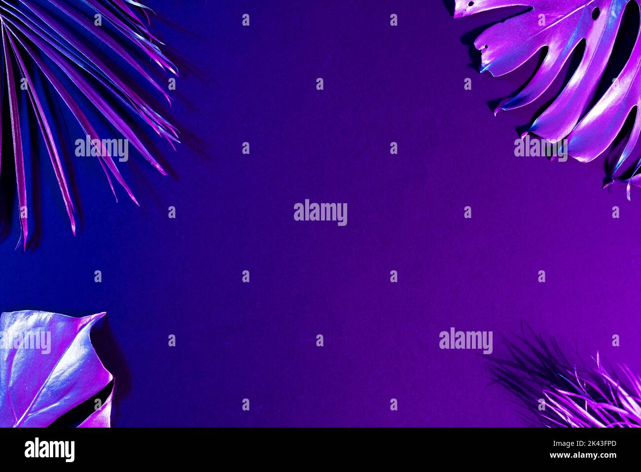 Image of vibrant neon lit purple leaves over purple background with ...