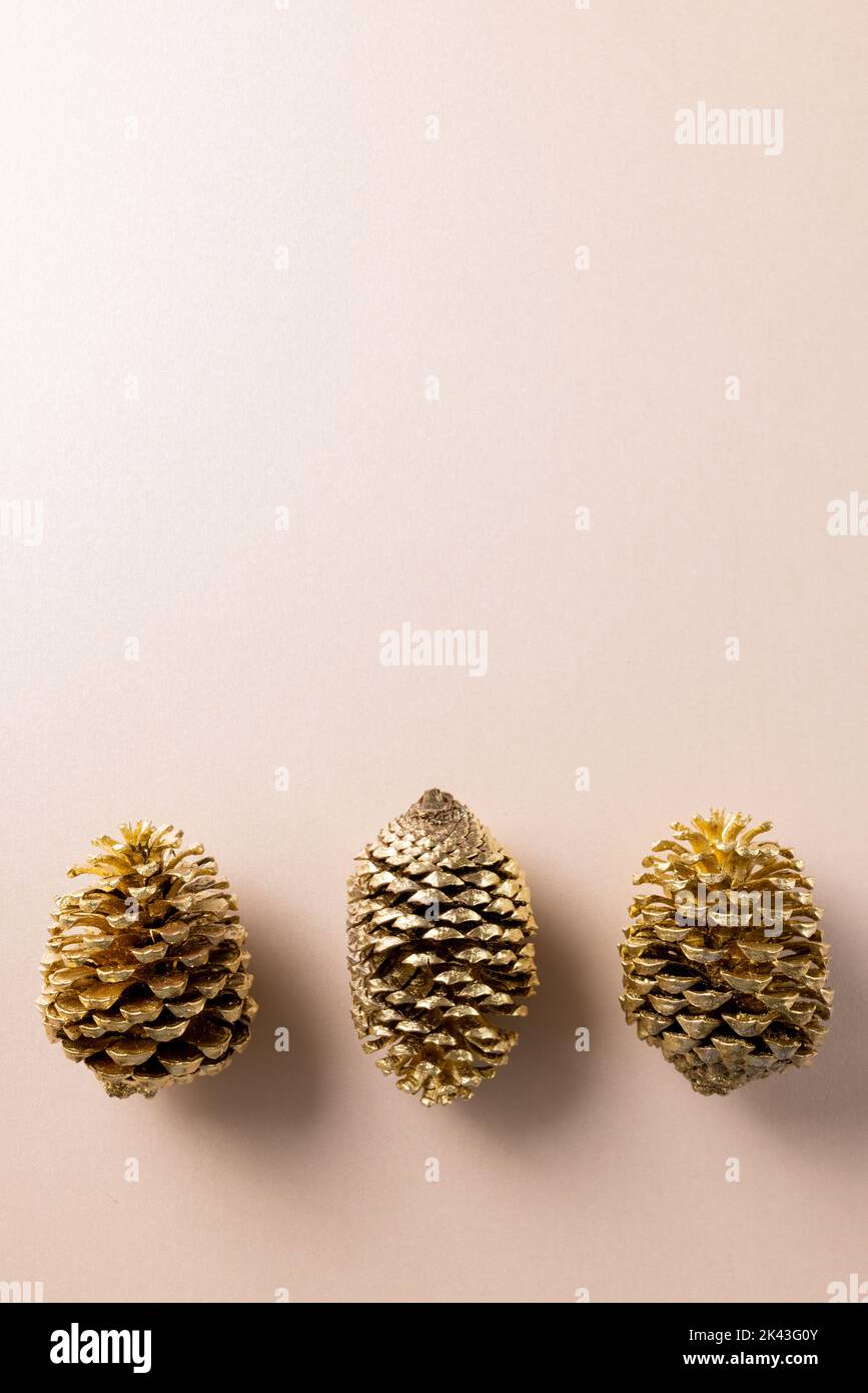 Overhead view of three pine cones and copy space on beige background ...
