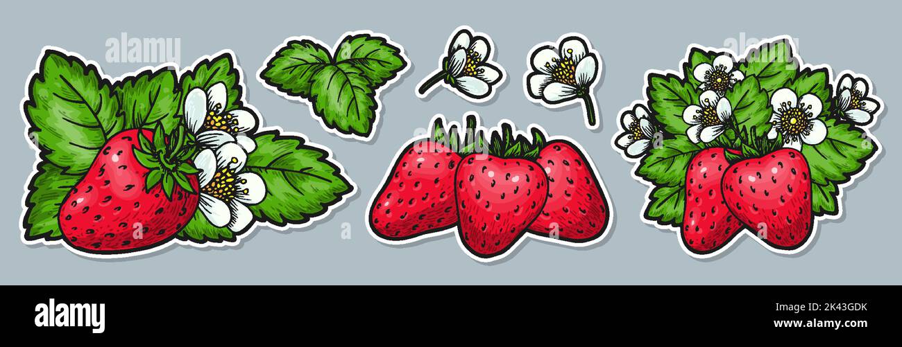Ripe strawberry cute cartoon stickers pins patches. Whole red berries ...