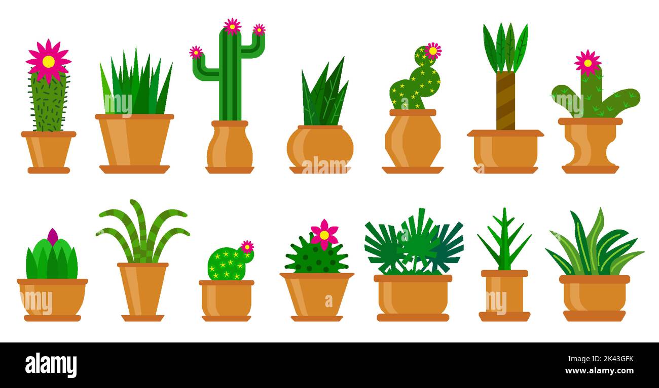 Cactus and succulent flat icon set. Different shapes of flowering cacti ...