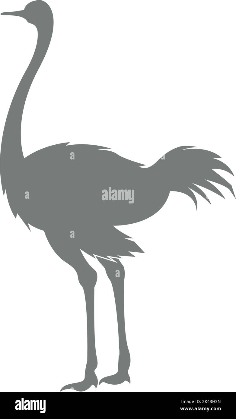Ostrich icon logo design illustration template Stock Vector Image & Art ...