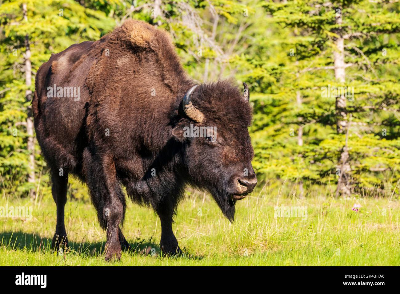 Al can highway hi-res stock photography and images - Alamy