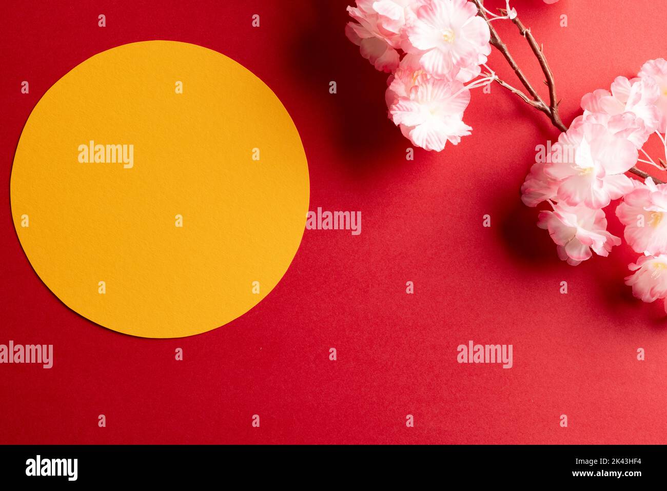 Composition of close up of cherry blossom and yellow circle on red ...