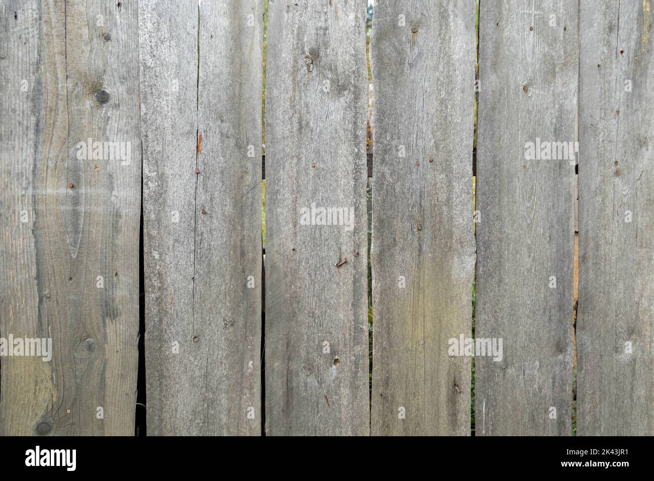 old tropicalwood fence plank surface texture Stock Photo - Alamy