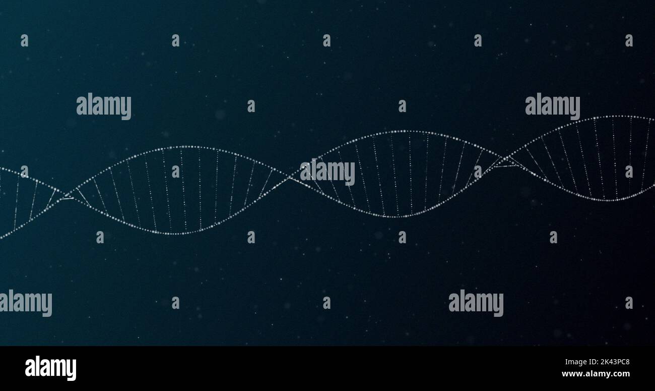 Image of white glowing double helix DNA strand spinning on black ...