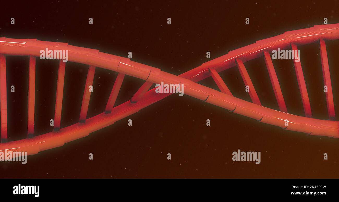 Image of orange glowing double helix dna strand with light trails ...