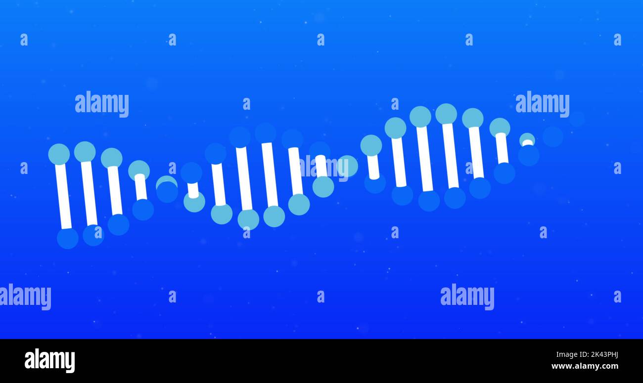 Image of multiple blue and white 3D double helix DNA strands spinning ...