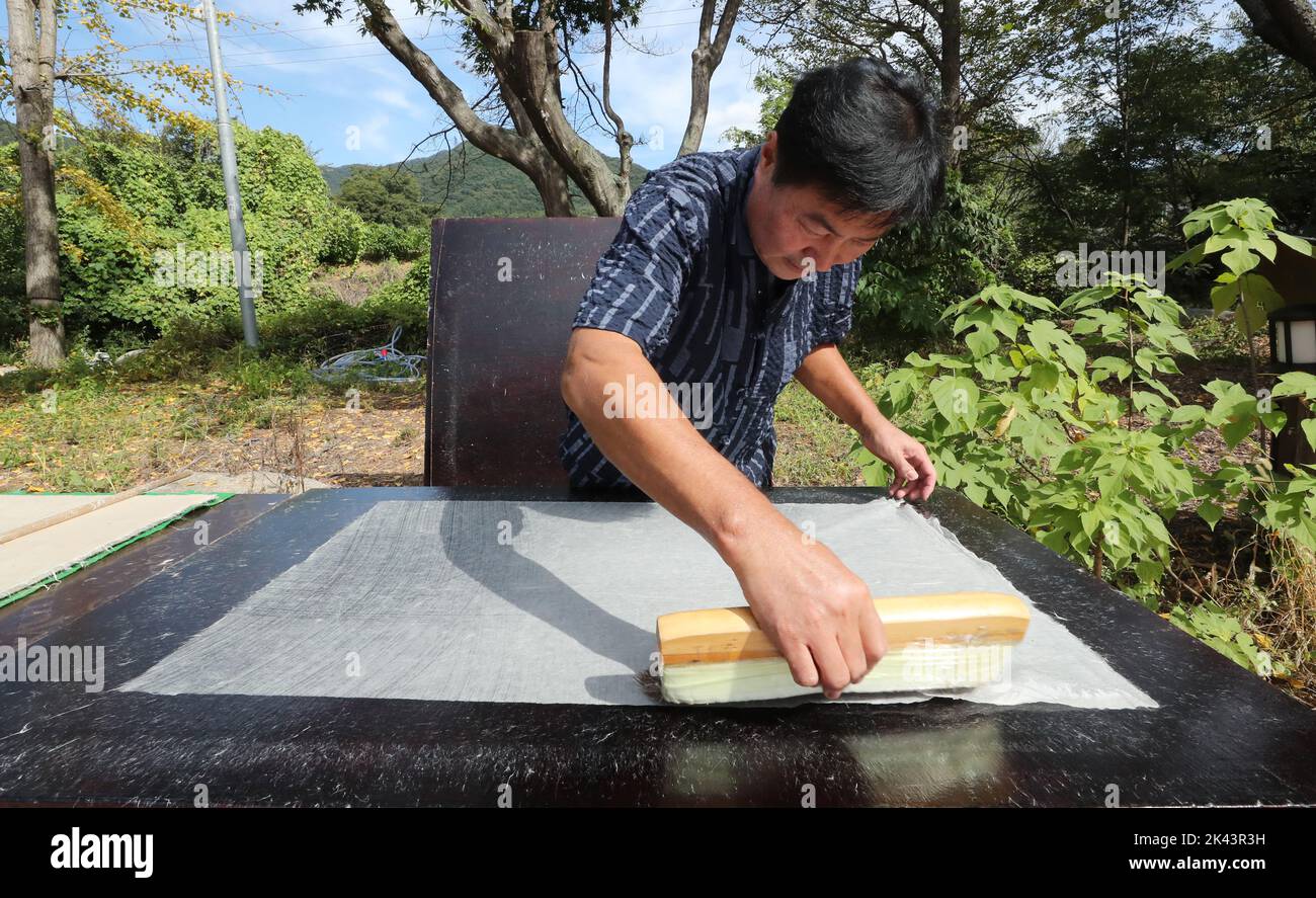 30th Sep, 2022. Master specialist of handmade Korean paper Ahn Chi-yong ...