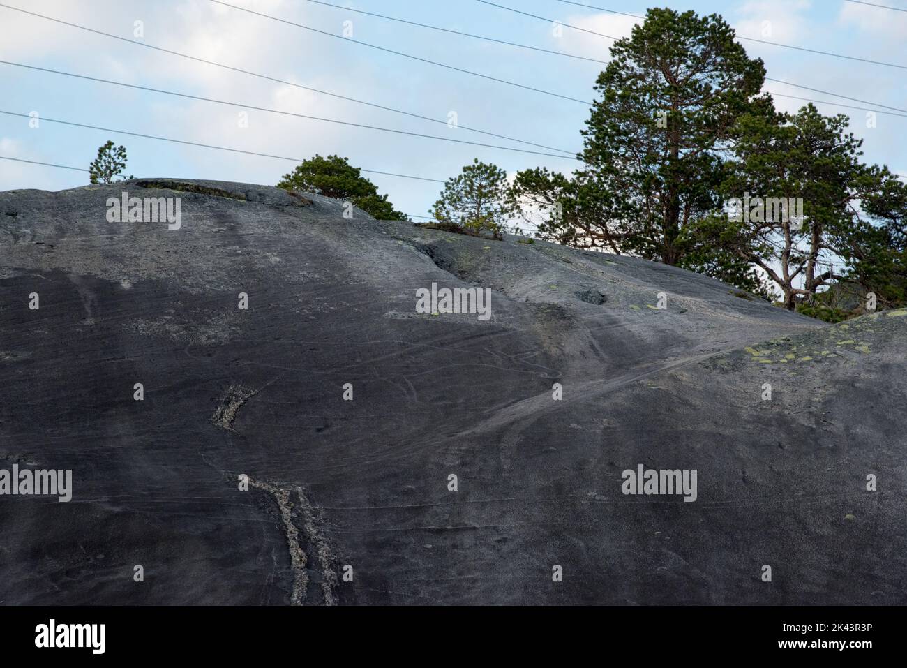 8700 years ago stoneage hunters carved some three meter long Elk near ...