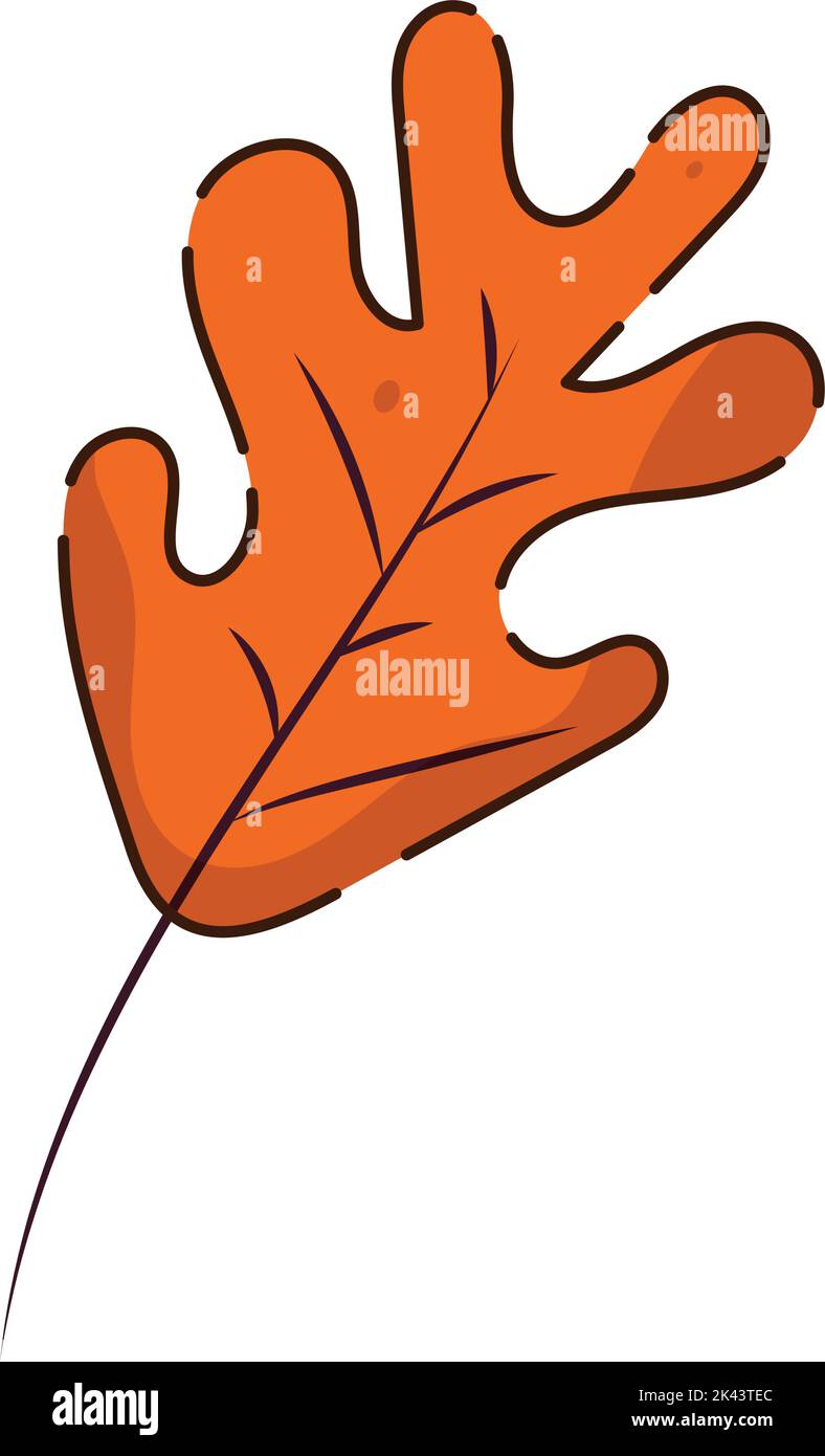 Isolated colored autumn leaf icon Vector Stock Vector Image & Art - Alamy