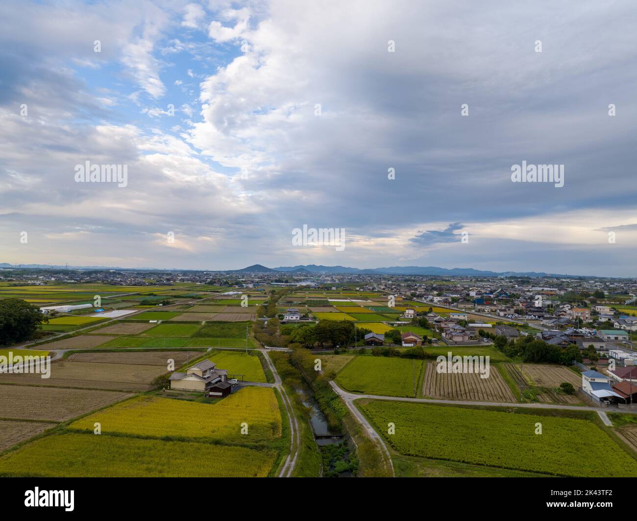 Beautiful rice fields brown hi-res stock photography and images - Alamy