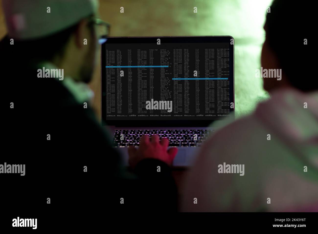 Back view of two diverse male colleagues using laptop with coding on ...