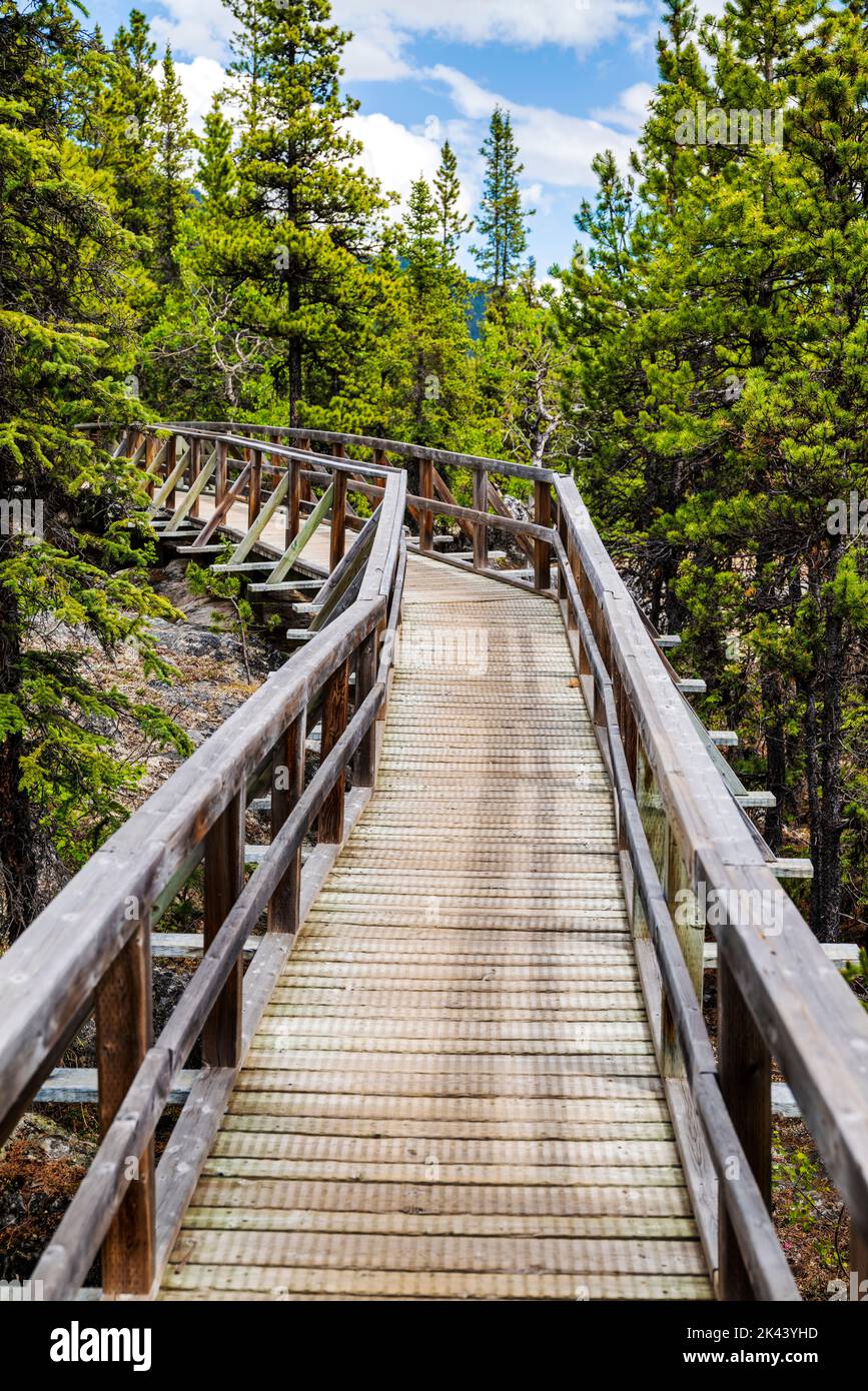 Walk way boardwalk path nature hi-res stock photography and images - Alamy