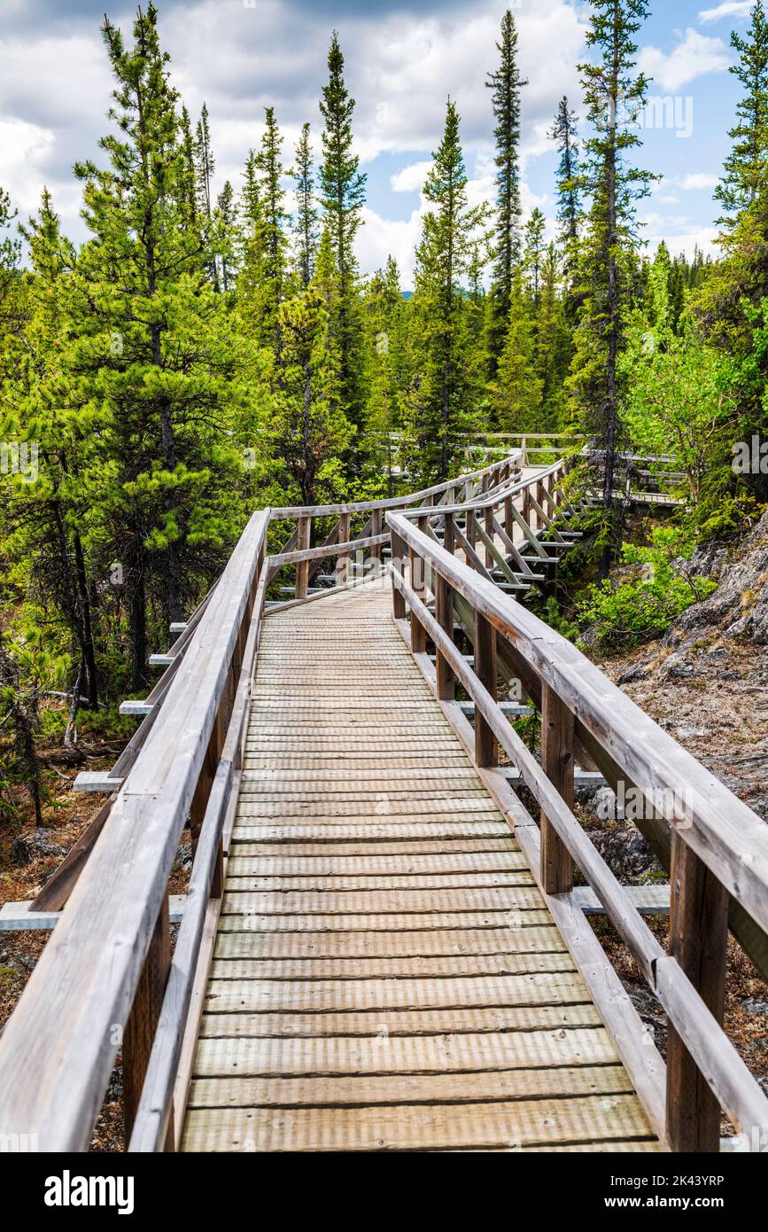 Walk way boardwalk path nature hi-res stock photography and images - Alamy