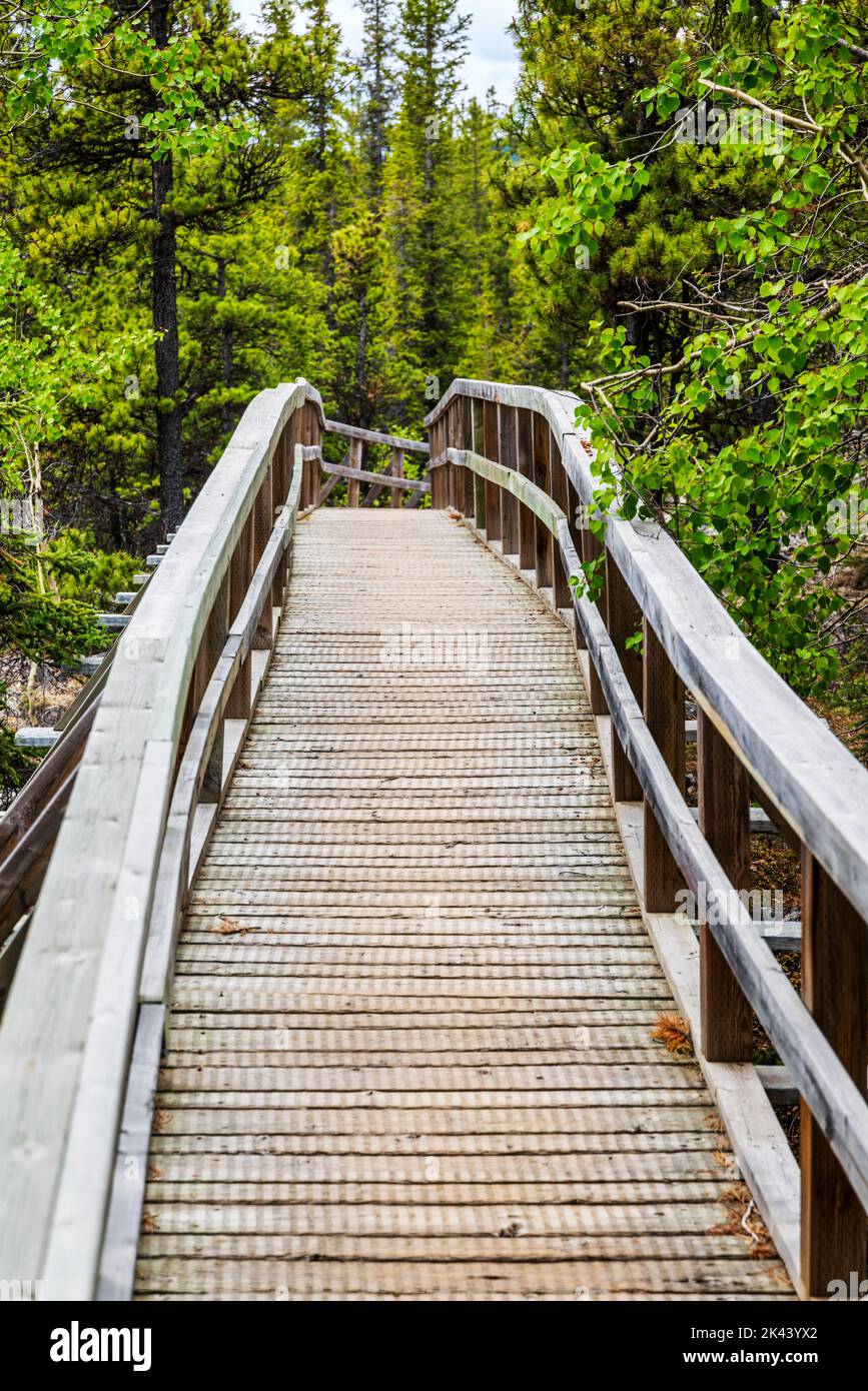 Boardwalk; Rancheria Falls Recreation Site; Yukon Territories; Canada ...
