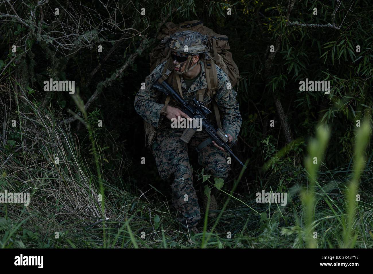 1st battalion 26th marine regiment hi-res stock photography and images ...