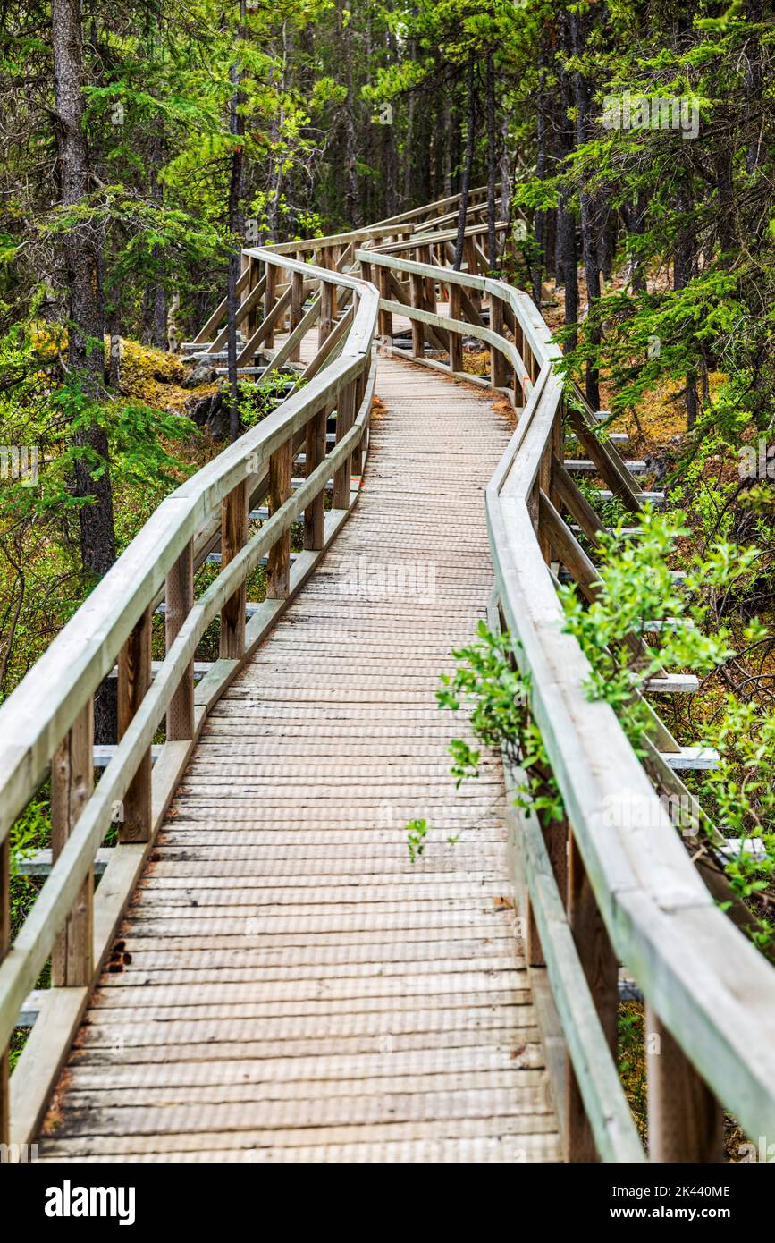Walk way boardwalk path nature hi-res stock photography and images - Alamy