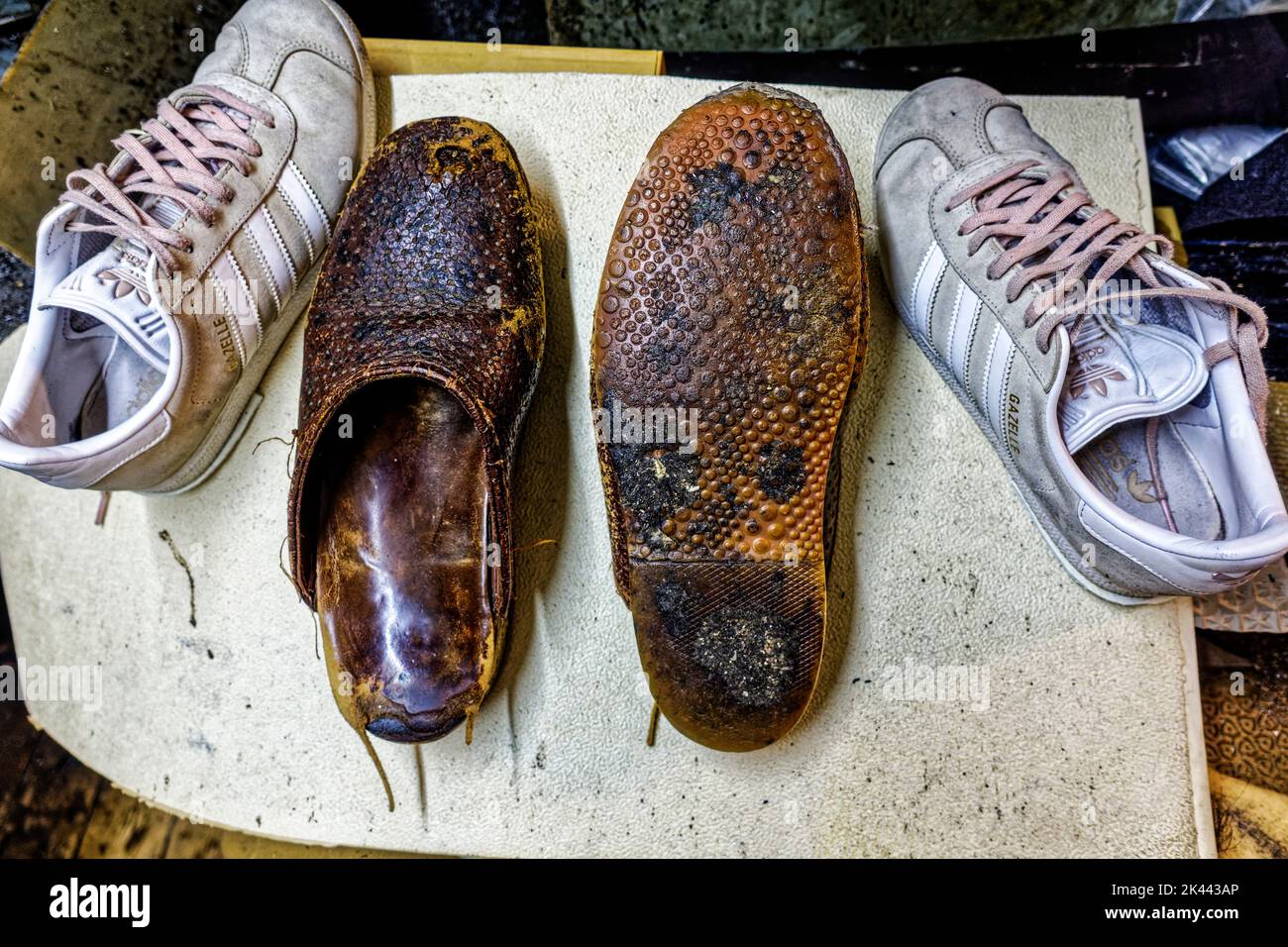 Schlangen leder hi-res stock photography and images - Alamy