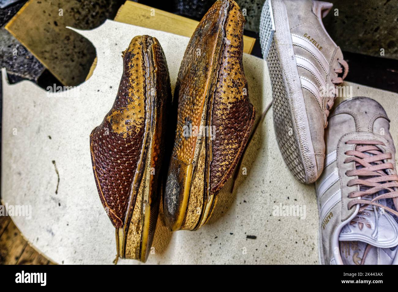 Schlangen leder hi-res stock photography and images - Alamy