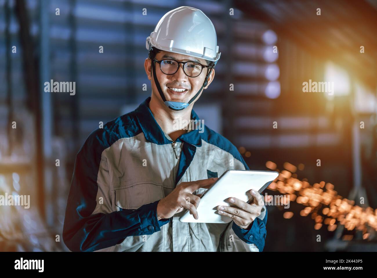 Asian Professional Heavy Industry Engineer Worker Wearing Safety ...