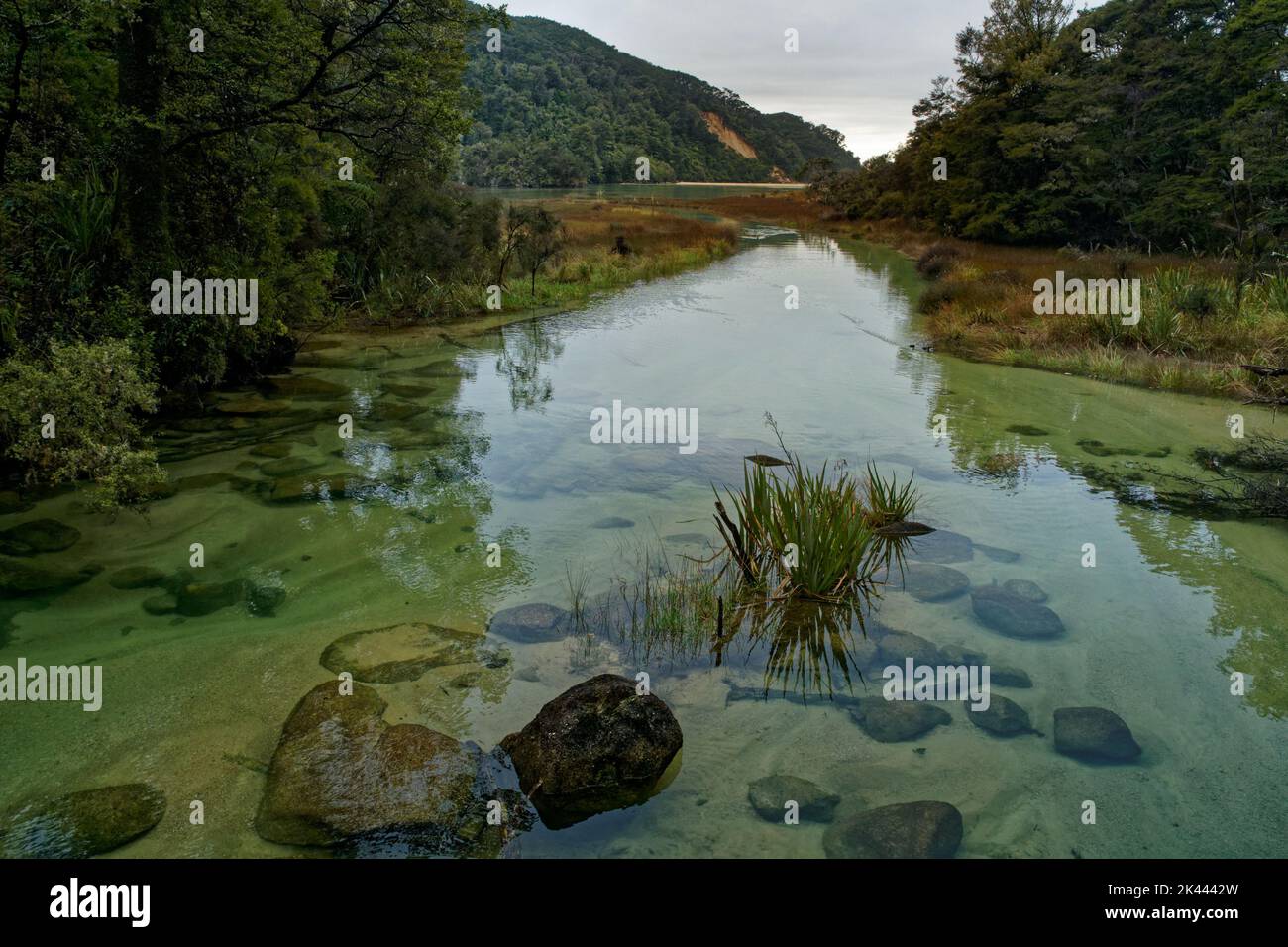 Bark bay estuary in Abel Tasman National Park, Tasman region south ...