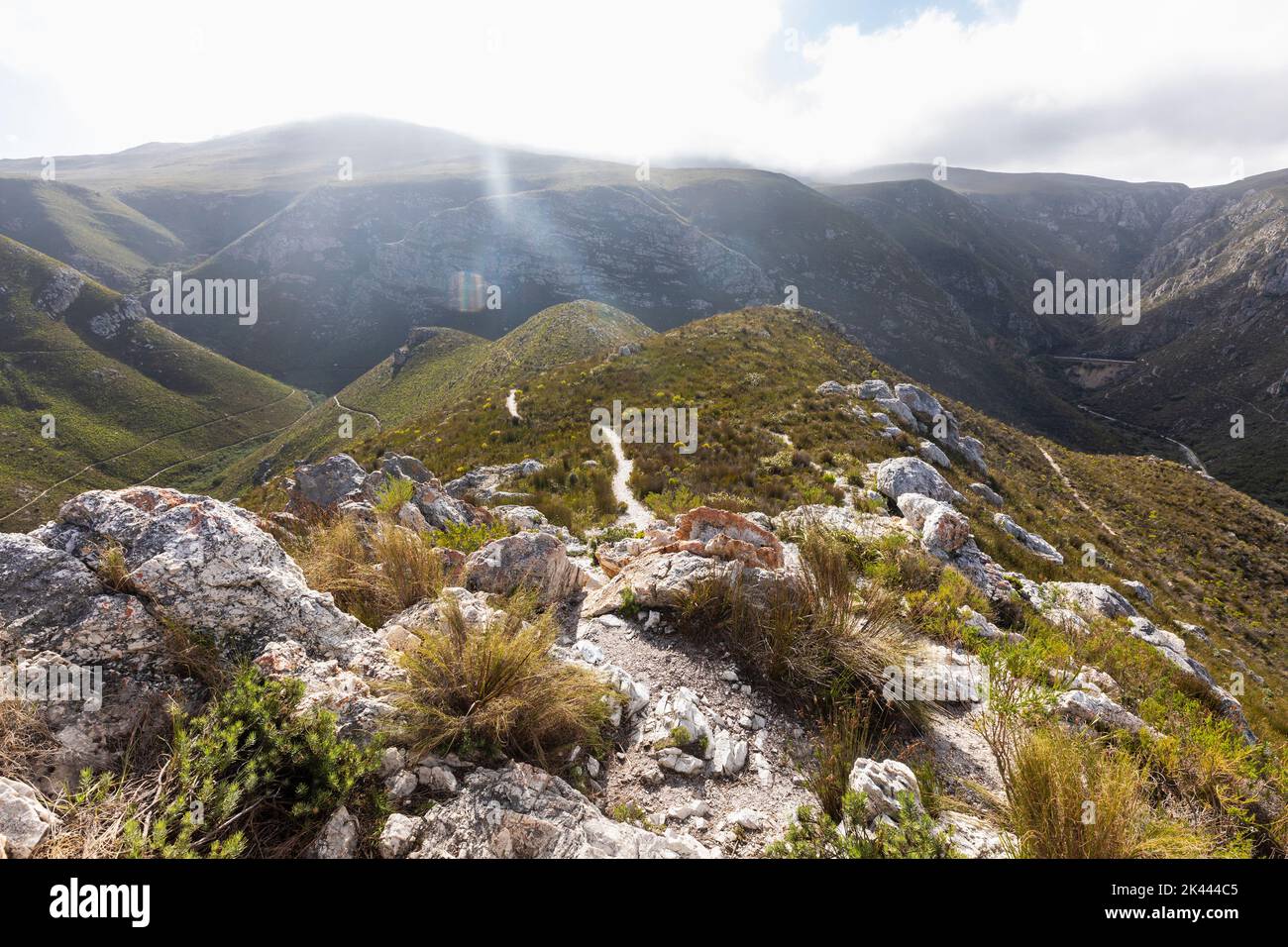 South Africa, Hermanus, Hiking trail in Fernkloof Nature Reserve Stock ...