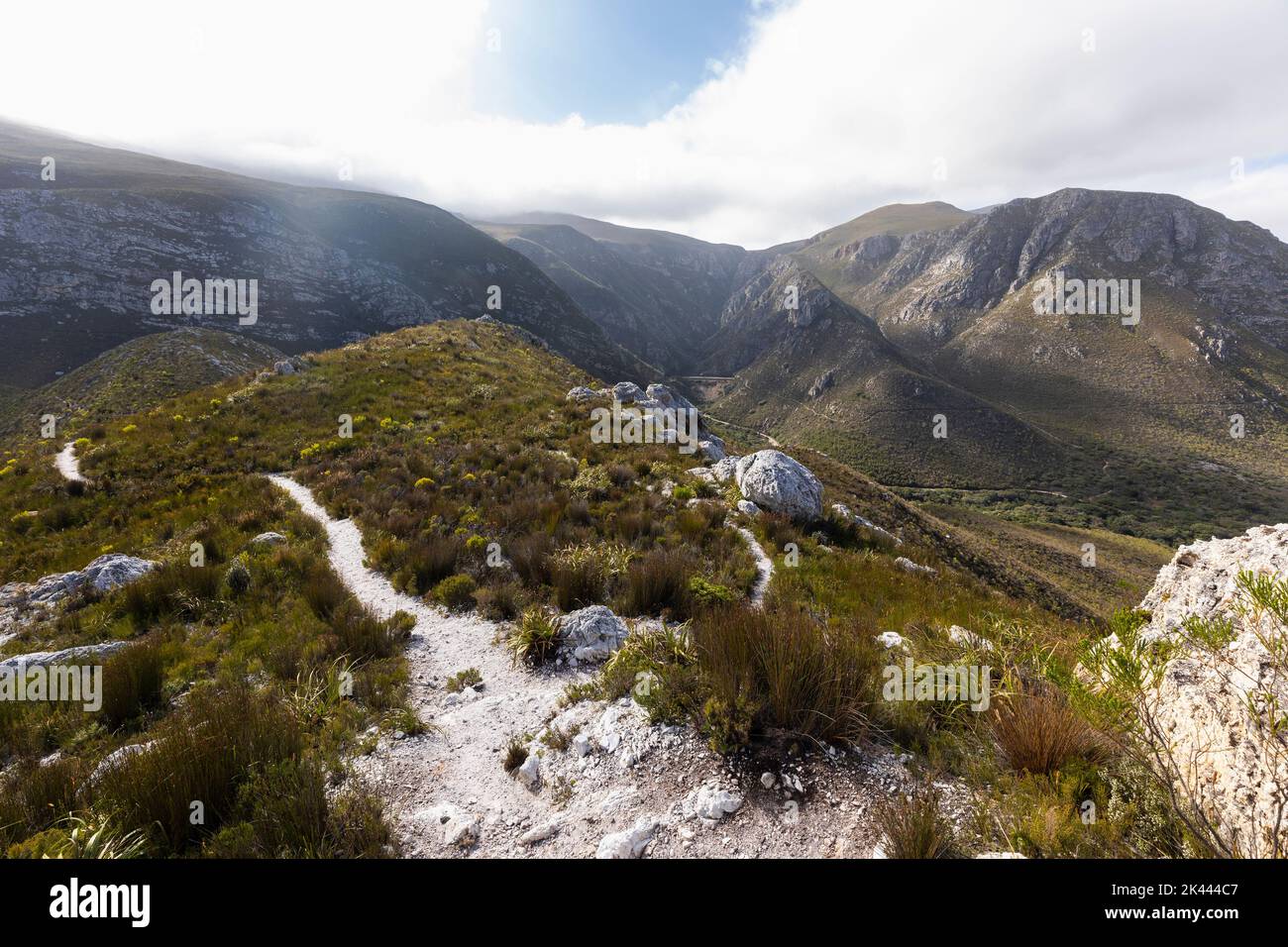 South Africa, Hermanus, Hiking trail in Fernkloof Nature Reserve Stock ...